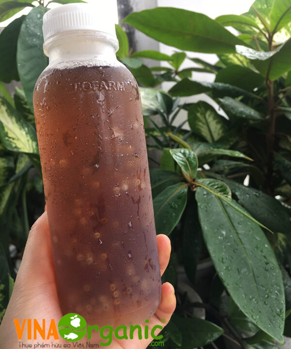 Trái bí đao và những lợi ích bất ngờ cho sức khỏe.