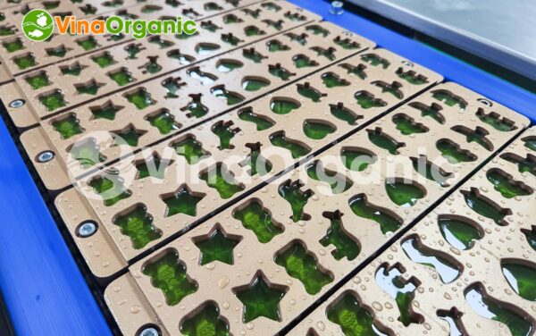 Dây chuyền sản xuất kẹo dẻo hình gấu, kẹo chip chip, gummy bear
