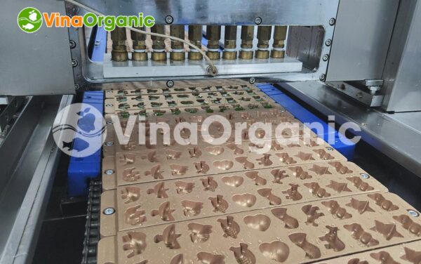 Dây chuyền sản xuất kẹo dẻo hình gấu, kẹo chip chip, gummy bear