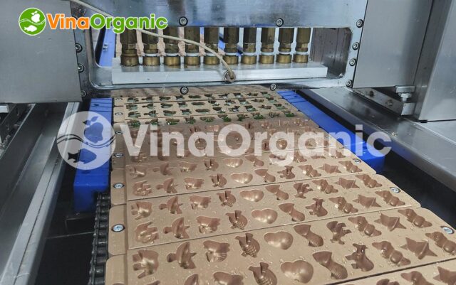 Dây chuyền sản xuất kẹo dẻo hình gấu, kẹo chip chip, gummy bear