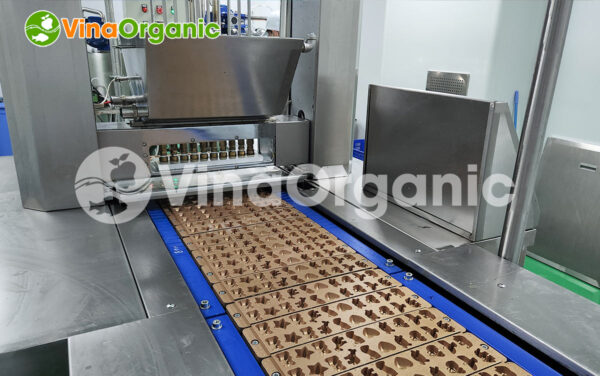 Dây chuyền sản xuất kẹo dẻo hình gấu, kẹo chip chip, gummy bear