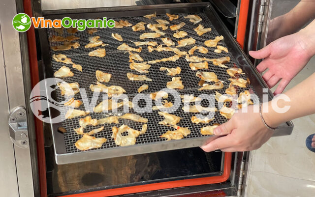MS1046 - Máy sấy đối lưu 10 khay sấy trái cây năng suất cao