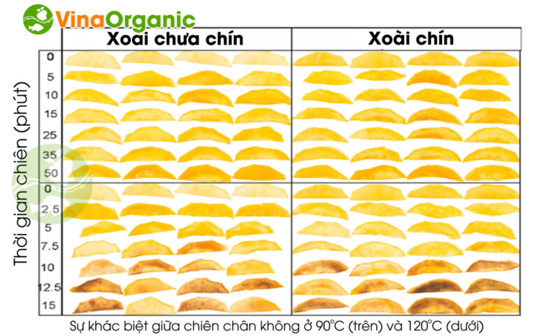 Chiên chân không là gì? Tìm hiểu về công nghệ chiên chân không