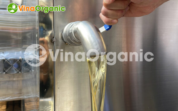 CTC100 - Máy chiên tách cặn dầu 100l