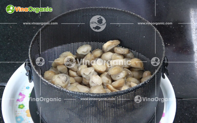 Dây chuyền sản xuất snack nấm rơm năng suất 10kg/mẻ