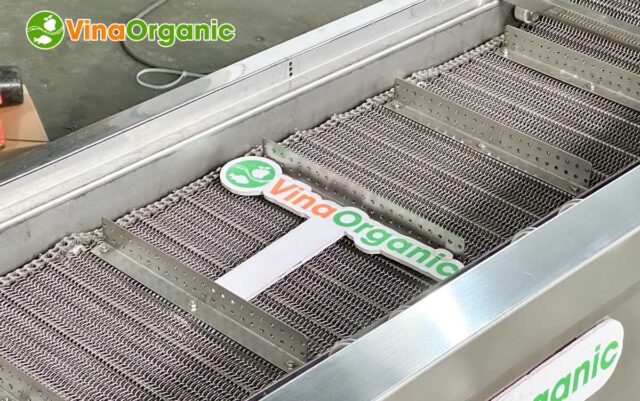 MCBT100 - Máy chiên băng tải 100L, chiên chả lươn, đậu phộng