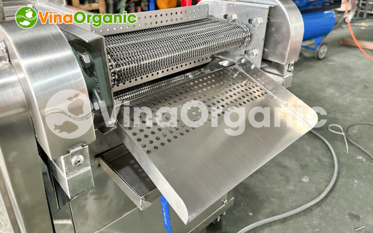MCBT100 - Máy chiên băng tải 100L, chiên chả lươn, đậu phộng