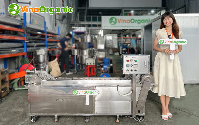 MCBT100 - Máy chiên băng tải 100L, chiên chả lươn, đậu phộng