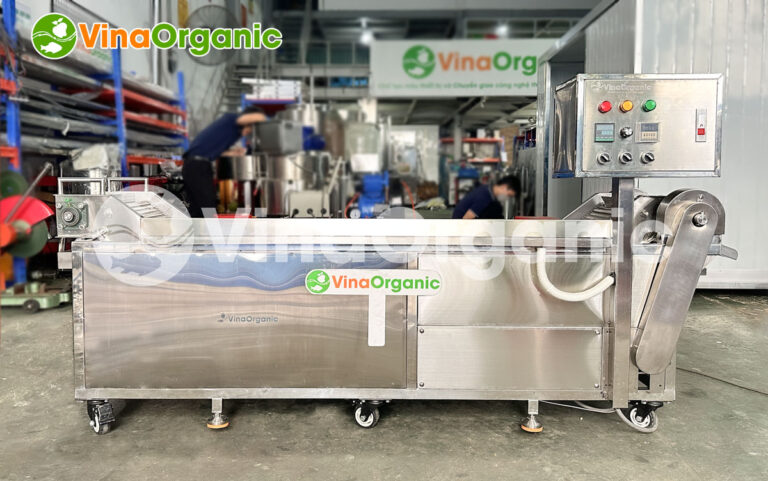MCBT100 - Máy chiên băng tải 100L, chiên chả lươn, đậu phộng