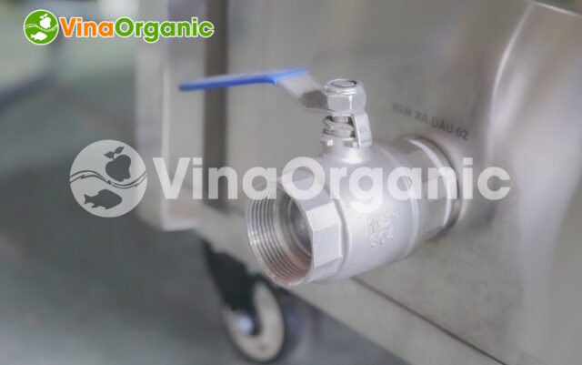 MCBT100 - Máy chiên băng tải 100L, chiên chả lươn, đậu phộng